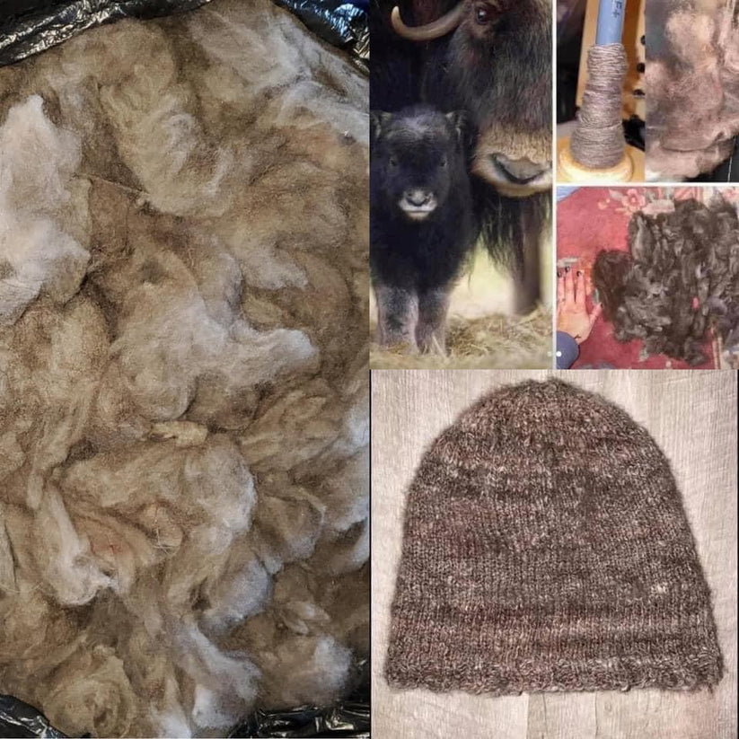 100% Musk Ox QIVIUT down fiber – The Miller Girls Yarn